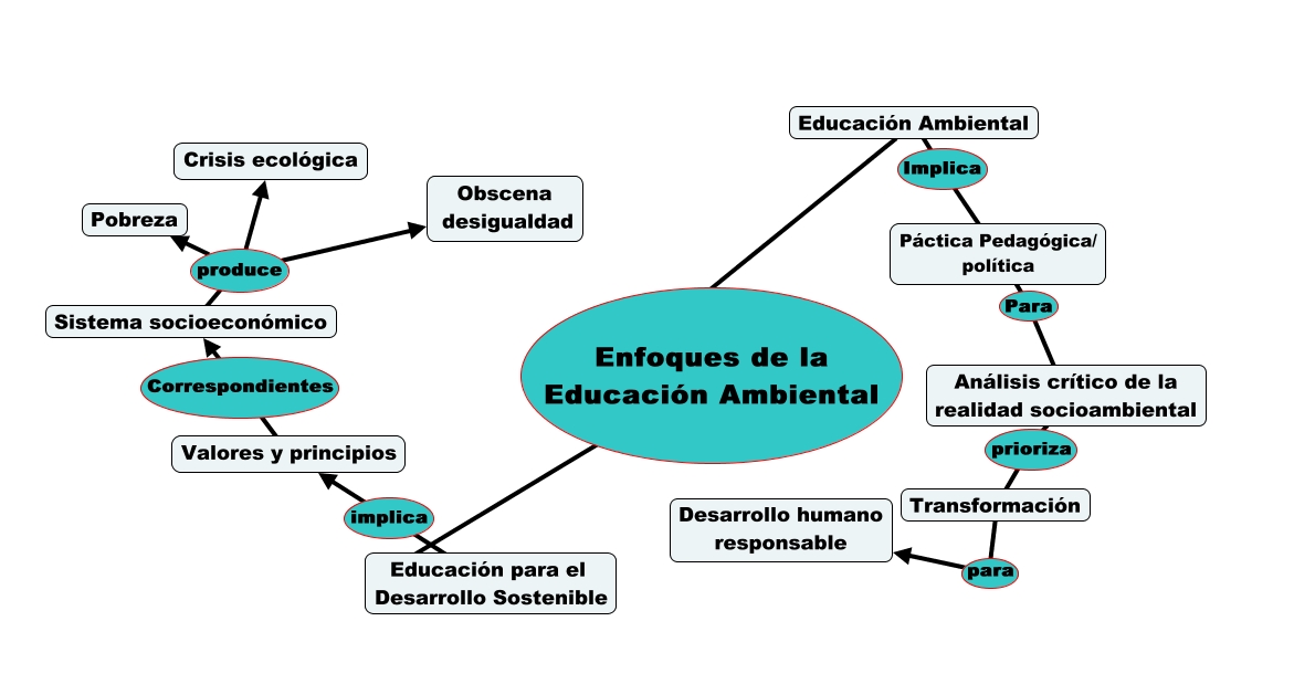 Figura 27 Enfoques de Educación ambiental 1